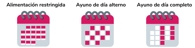 Ayuno intermitente: todo lo que debes saber - Nutrición